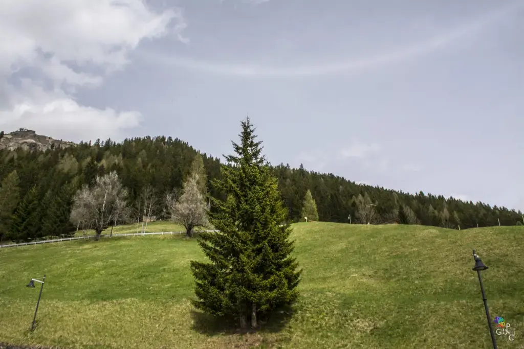 Parhelic Circle - Wegener Arc - Parry Arc - and Circumscribed Halo ...